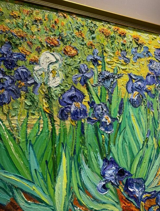 🌼 "Irises" By Vincent Van Gogh - A Masterful Reproduction 🎨 - Dafen Oil ...